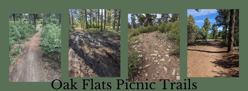 Oak Flats Picnic Trails Fat Ass – A Curious Attitude